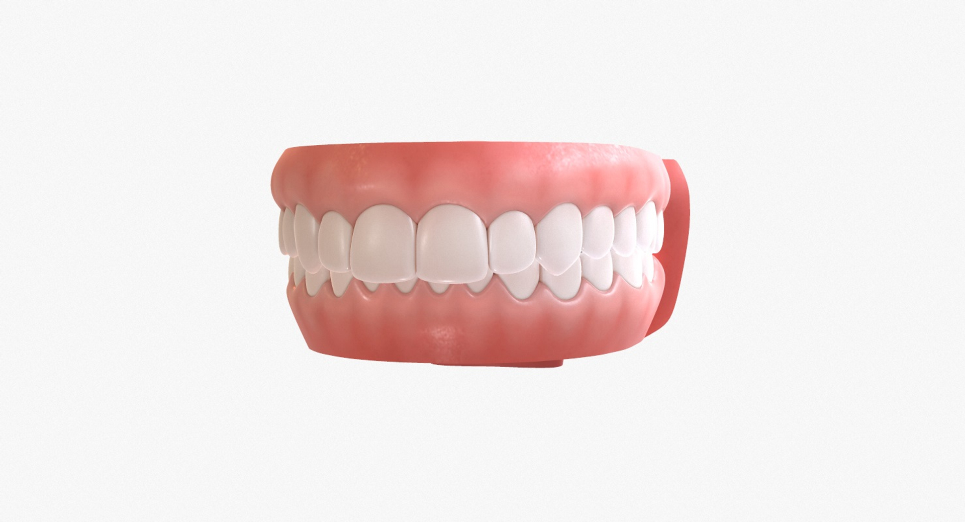 Teeth Pbr Marmoset 3d Model