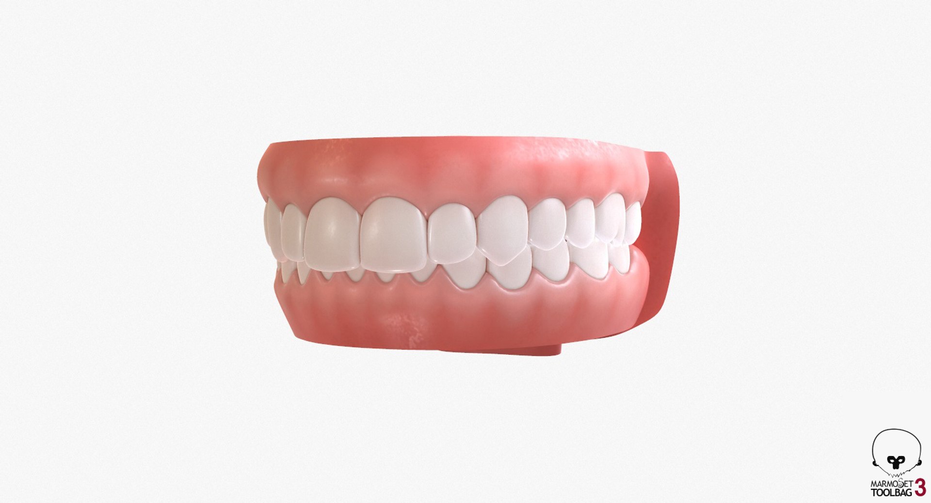 Teeth Pbr Marmoset 3d Model