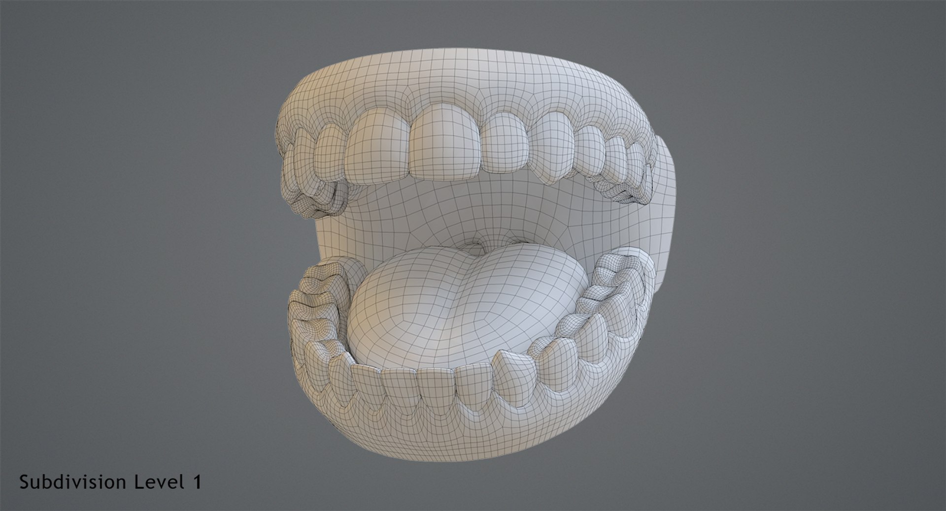 Teeth Pbr Marmoset 3d Model