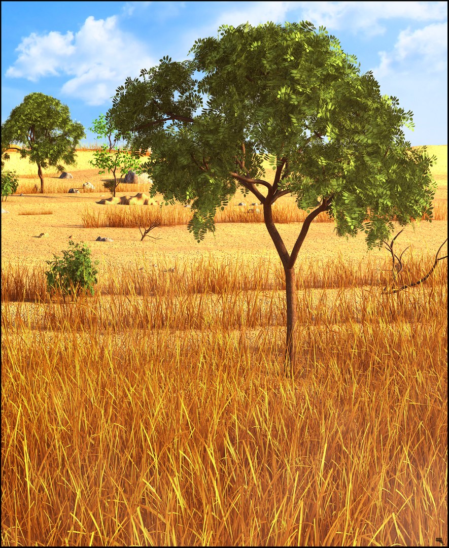 Savanna Africa Savannah Model - TurboSquid 1228971