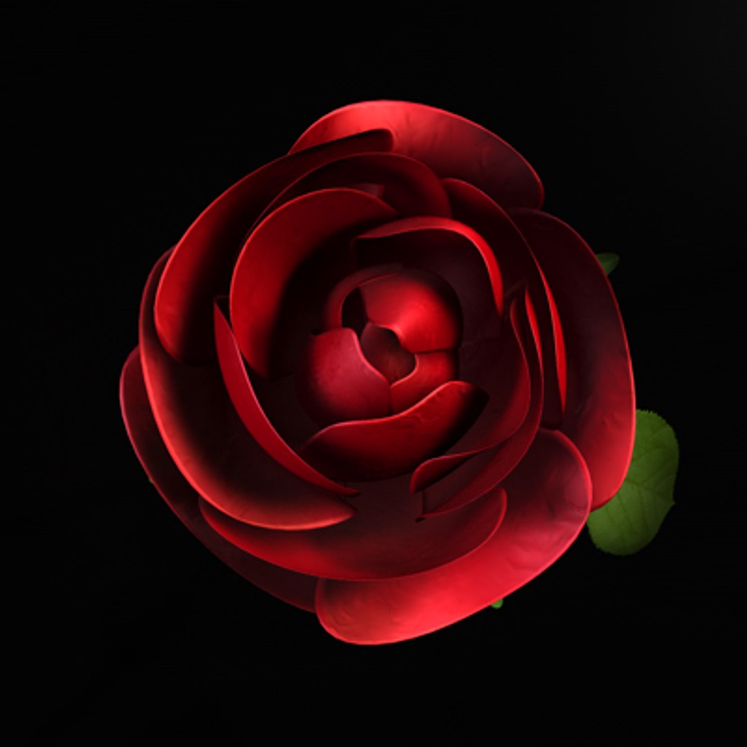 3d Rose Flower
