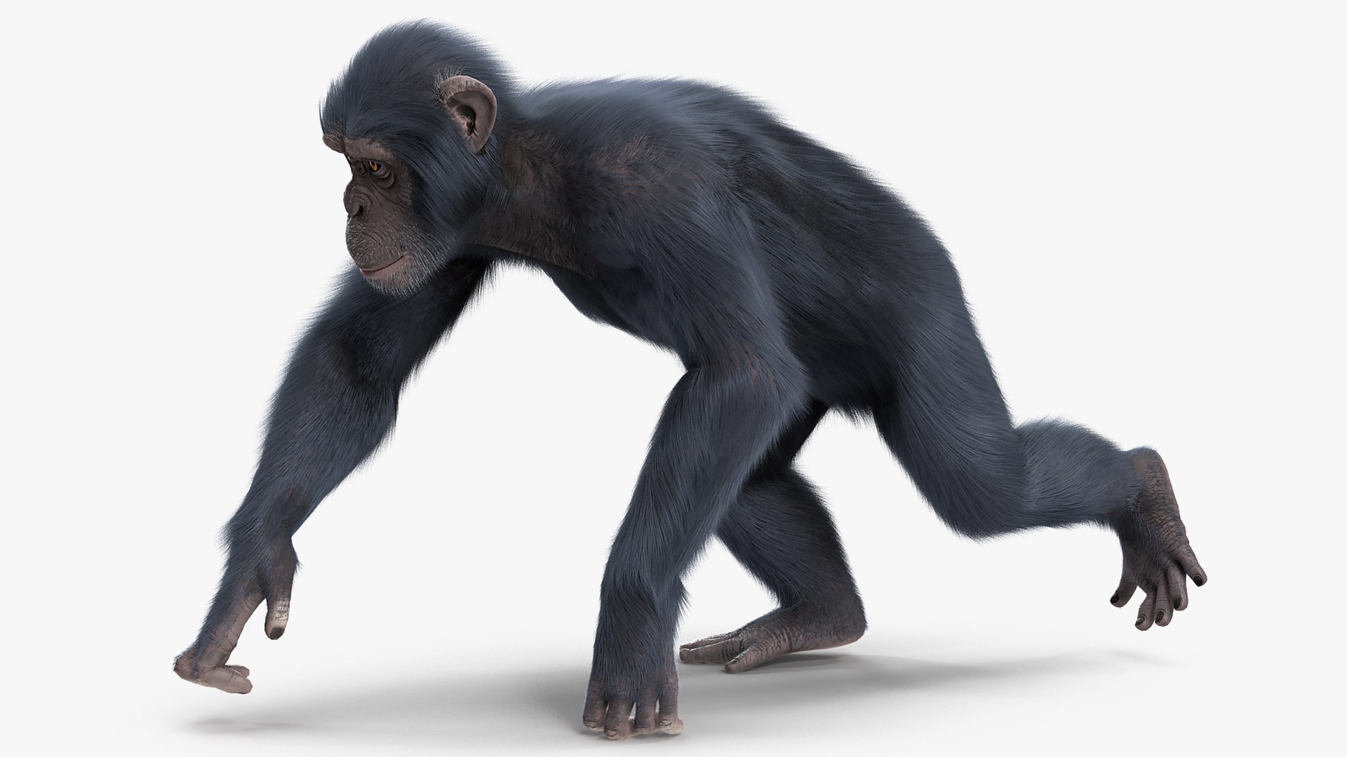 Chimpanzee Running Dark Skin 3D - TurboSquid 1435772