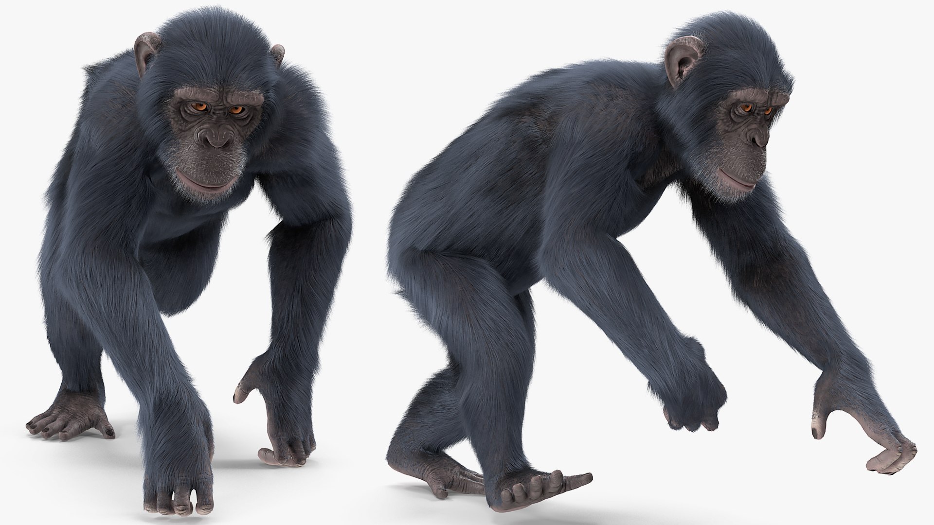 Chimpanzee Running Dark Skin 3D - TurboSquid 1435772
