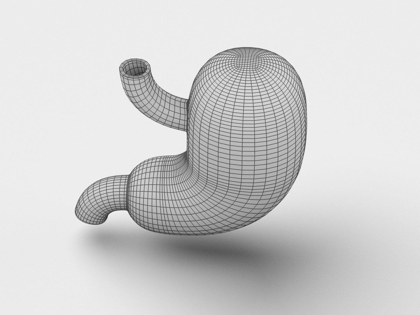 3D Stomach Cartoon Stylized Model - TurboSquid 1793945