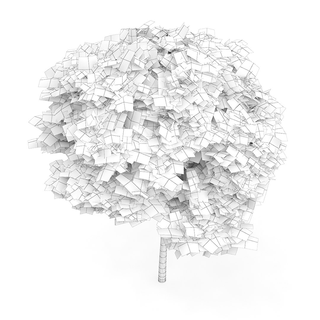 3d Model Catalpa Scop 5 9m