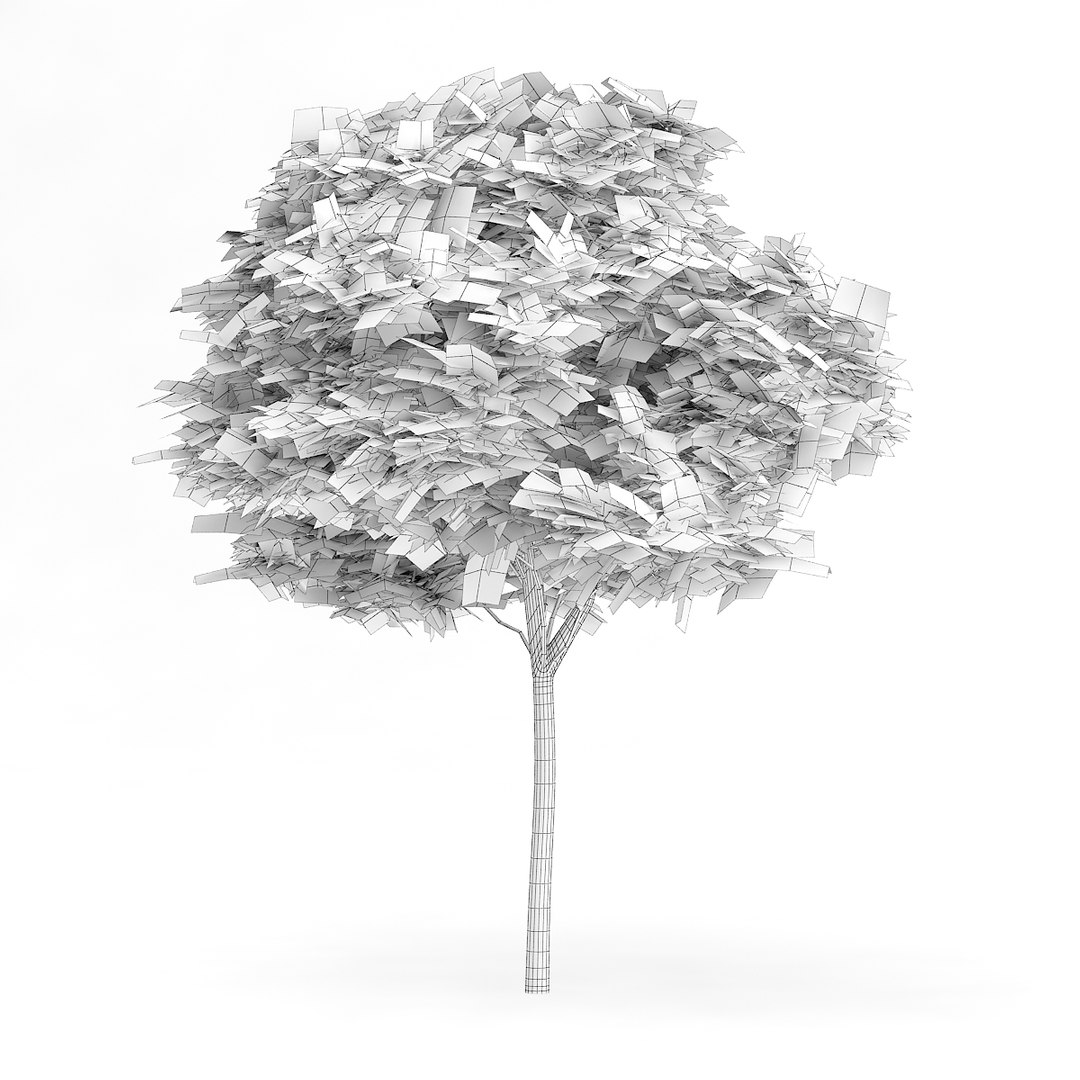 3d Model Catalpa Scop 5 9m