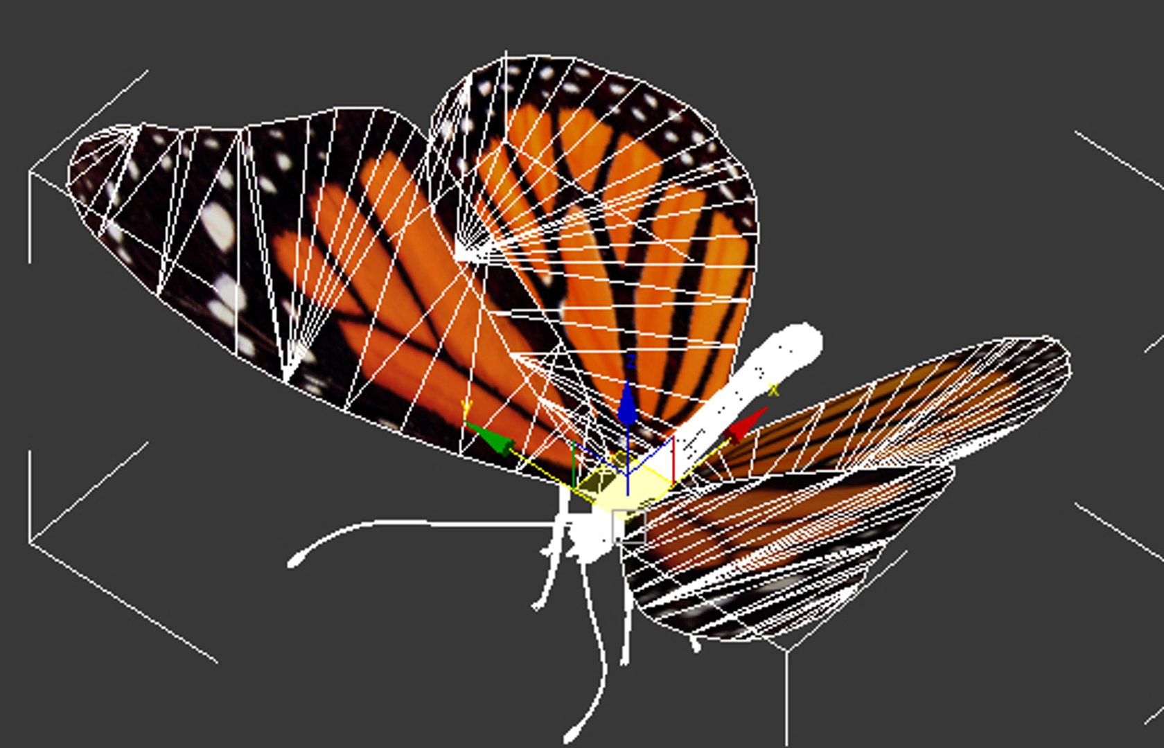 3D Butterfly - TurboSquid 1471819