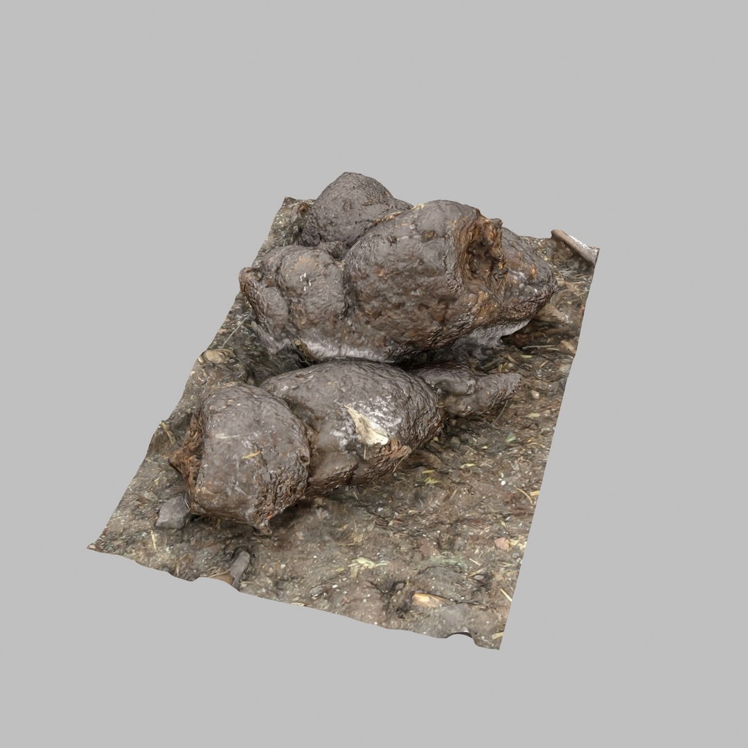 Poop Poo Dog 3D Model - TurboSquid 1372048