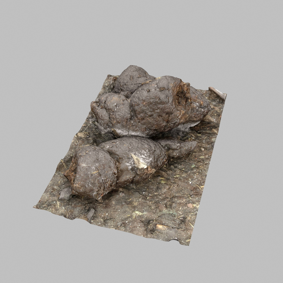 Poop Poo Dog 3D Model - TurboSquid 1372048