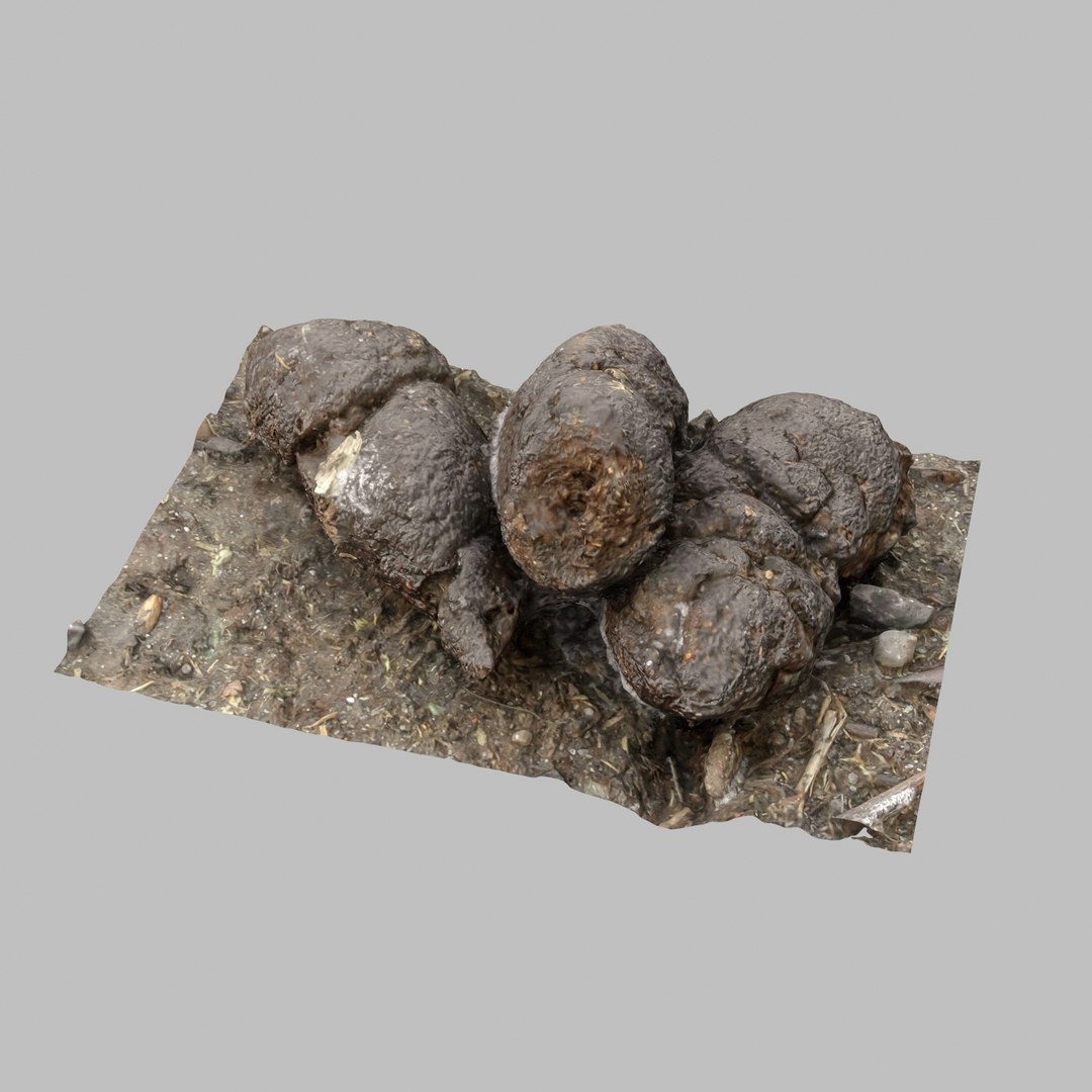 Poop Poo Dog 3D Model - TurboSquid 1372048