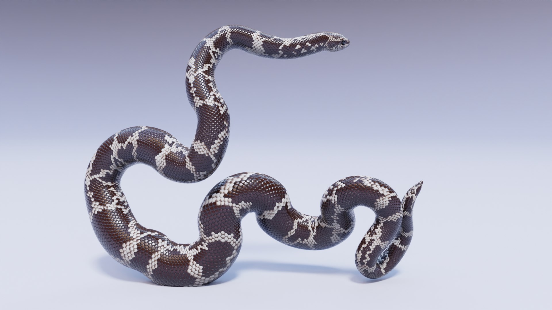 3D Animated Kenyan Sand Boa model - TurboSquid 1950268