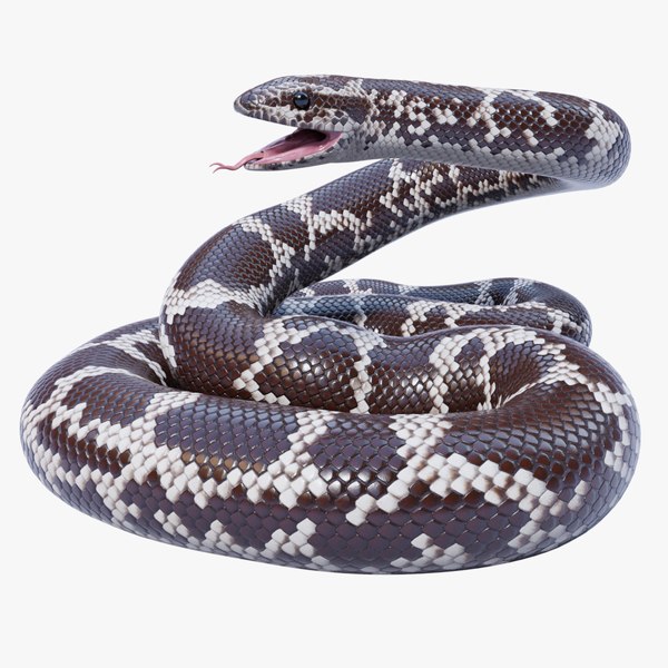 3D Animated Kenyan Sand Boa model - TurboSquid 1950268