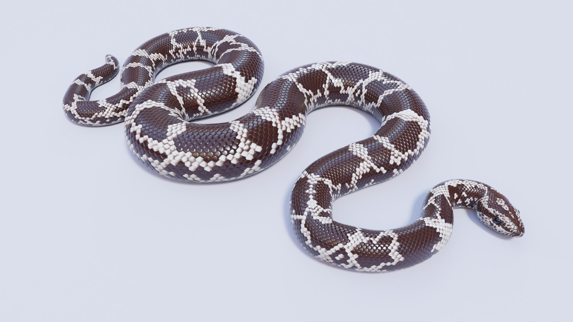 3D Animated Kenyan Sand Boa model - TurboSquid 1950268