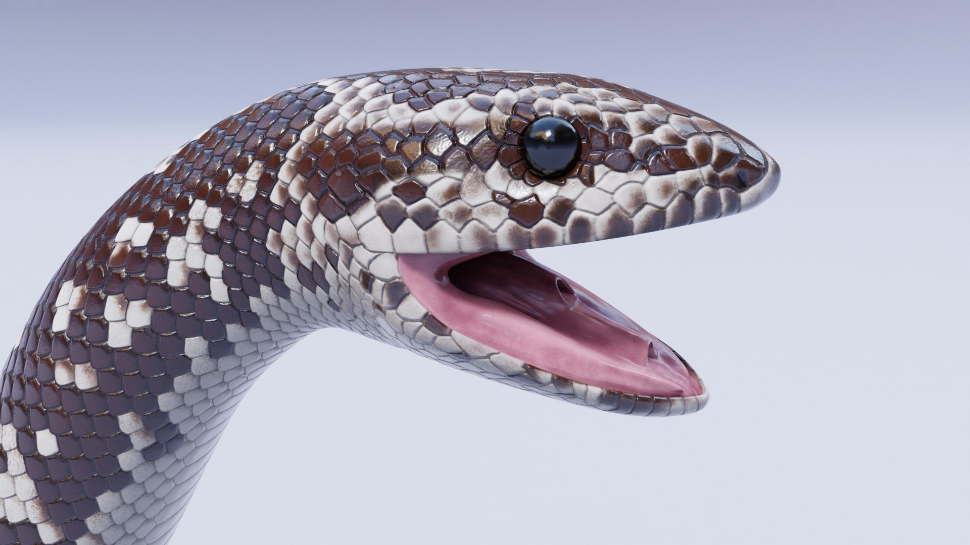 3D Animated Kenyan Sand Boa model - TurboSquid 1950268