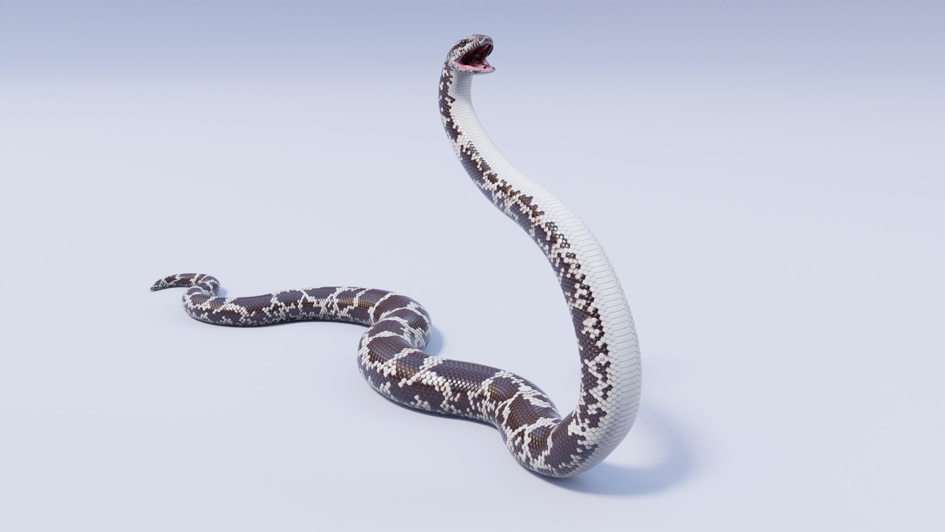 3D Animated Kenyan Sand Boa model - TurboSquid 1950268