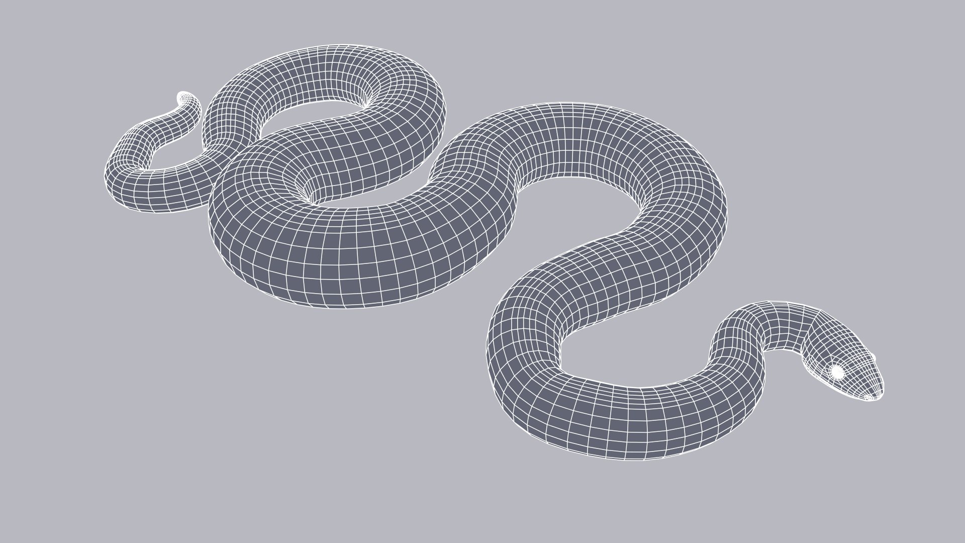 3D Animated Kenyan Sand Boa model - TurboSquid 1950268