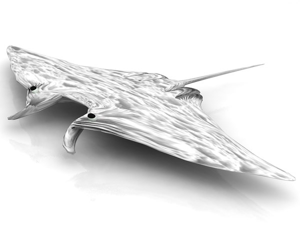 Manta Ray Stingray STL Models for Download | TurboSquid