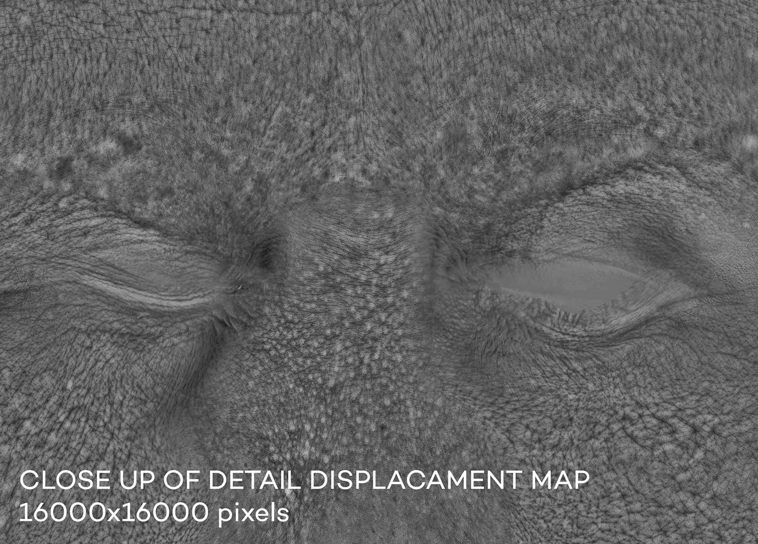 3D Head Donald Trump - TurboSquid 1355854