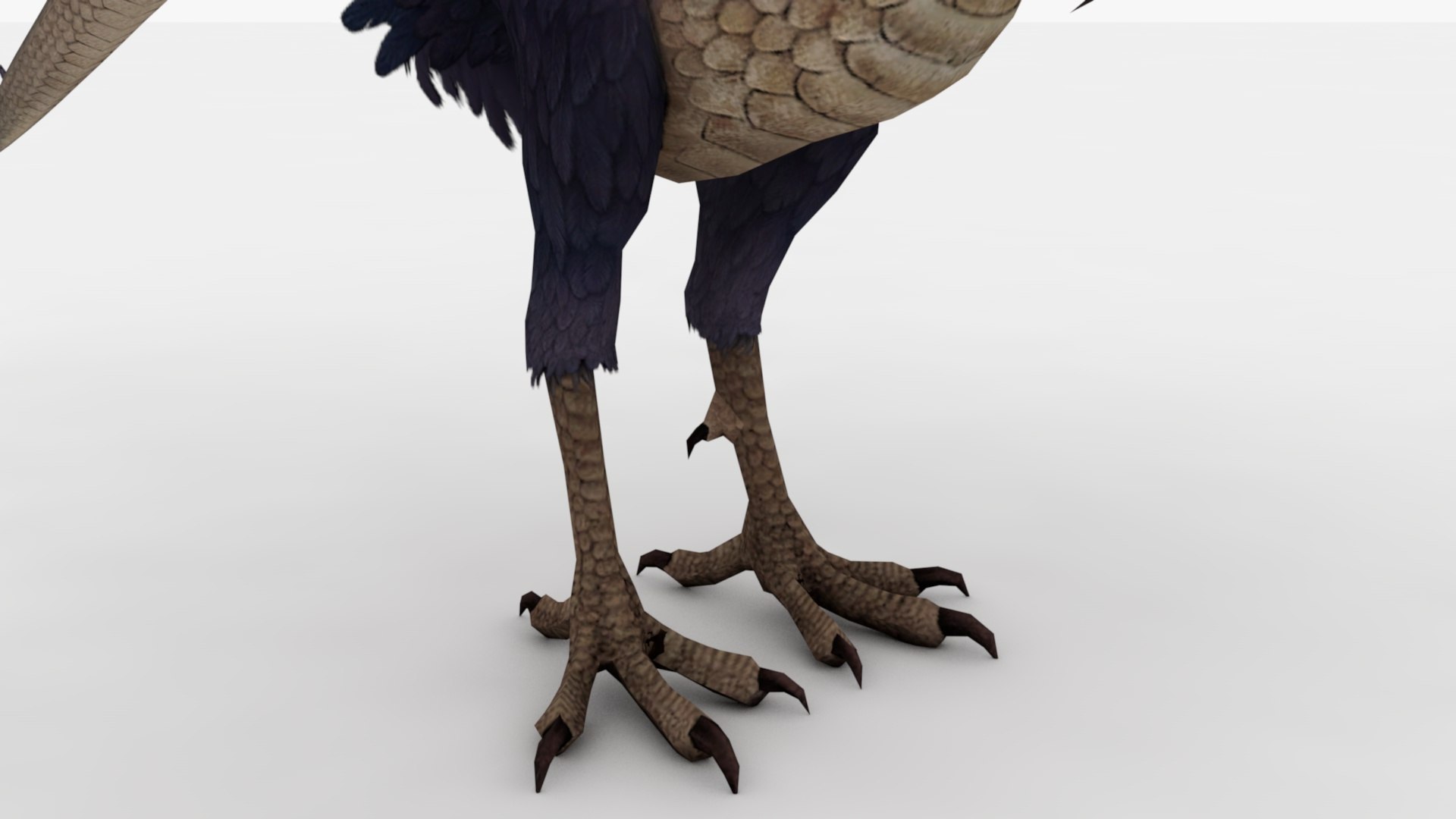 3D 2in1 Cockatrice Rigged And Animated - TurboSquid 2348414