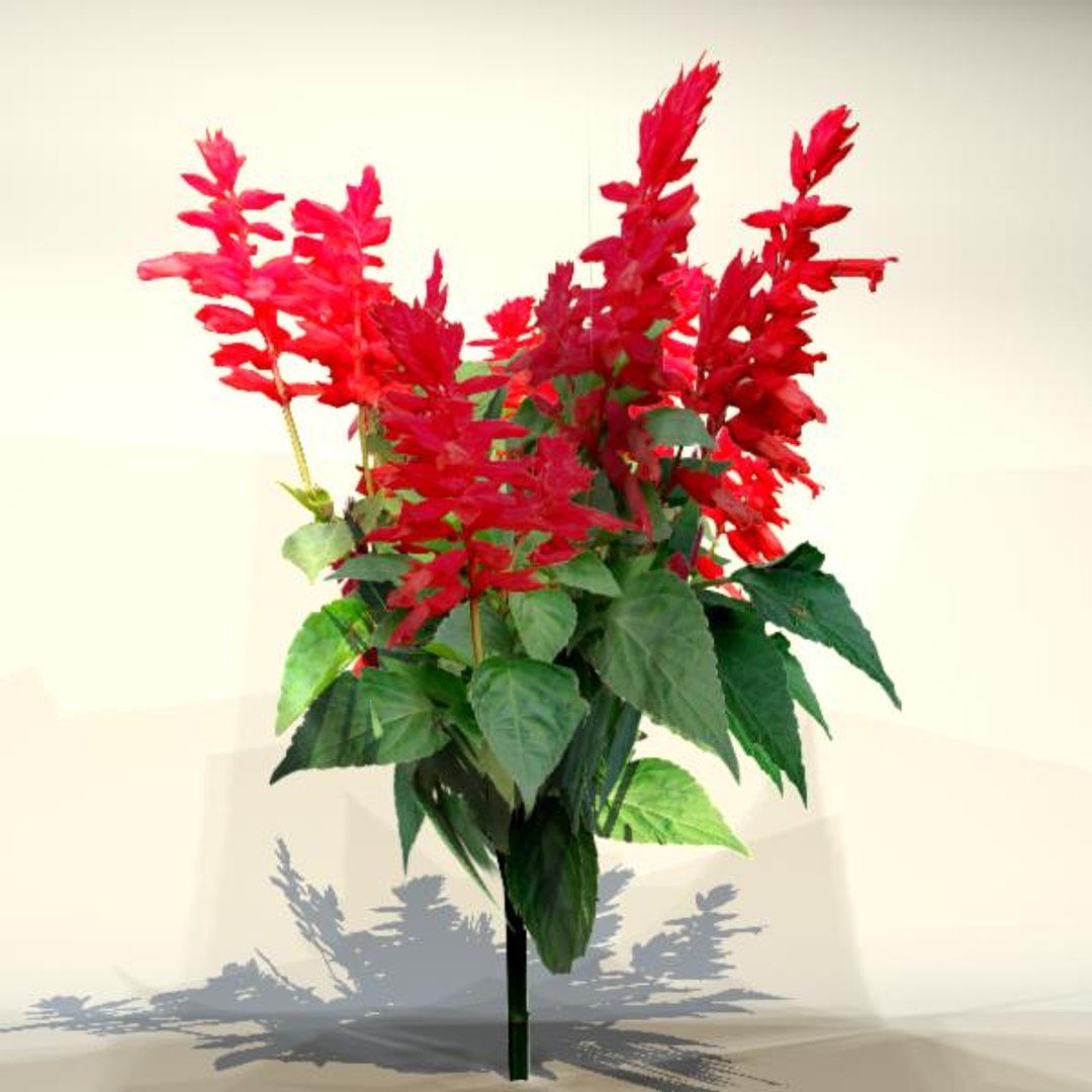 3ds Max Pc Flower