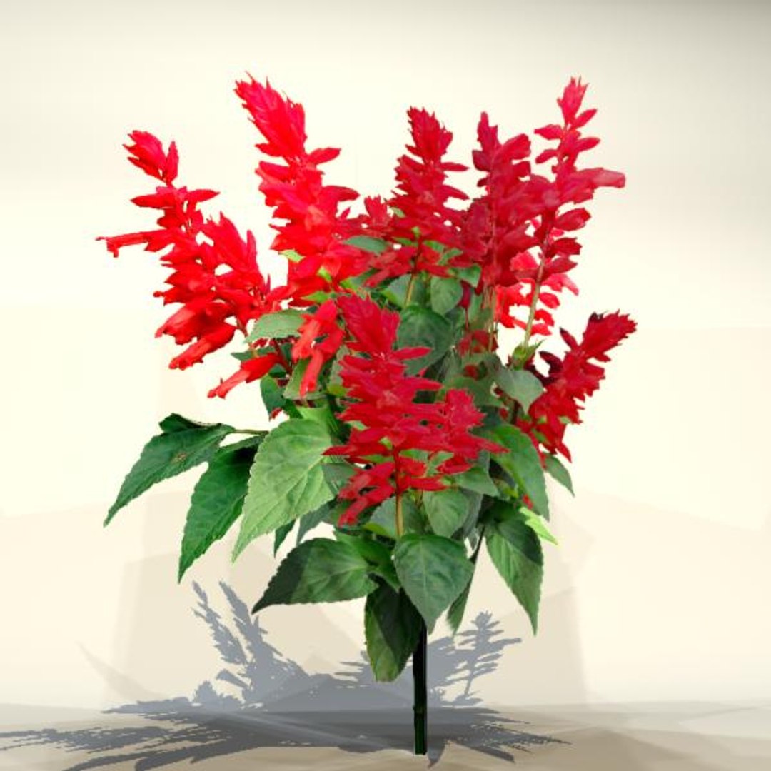 3ds Max Pc Flower