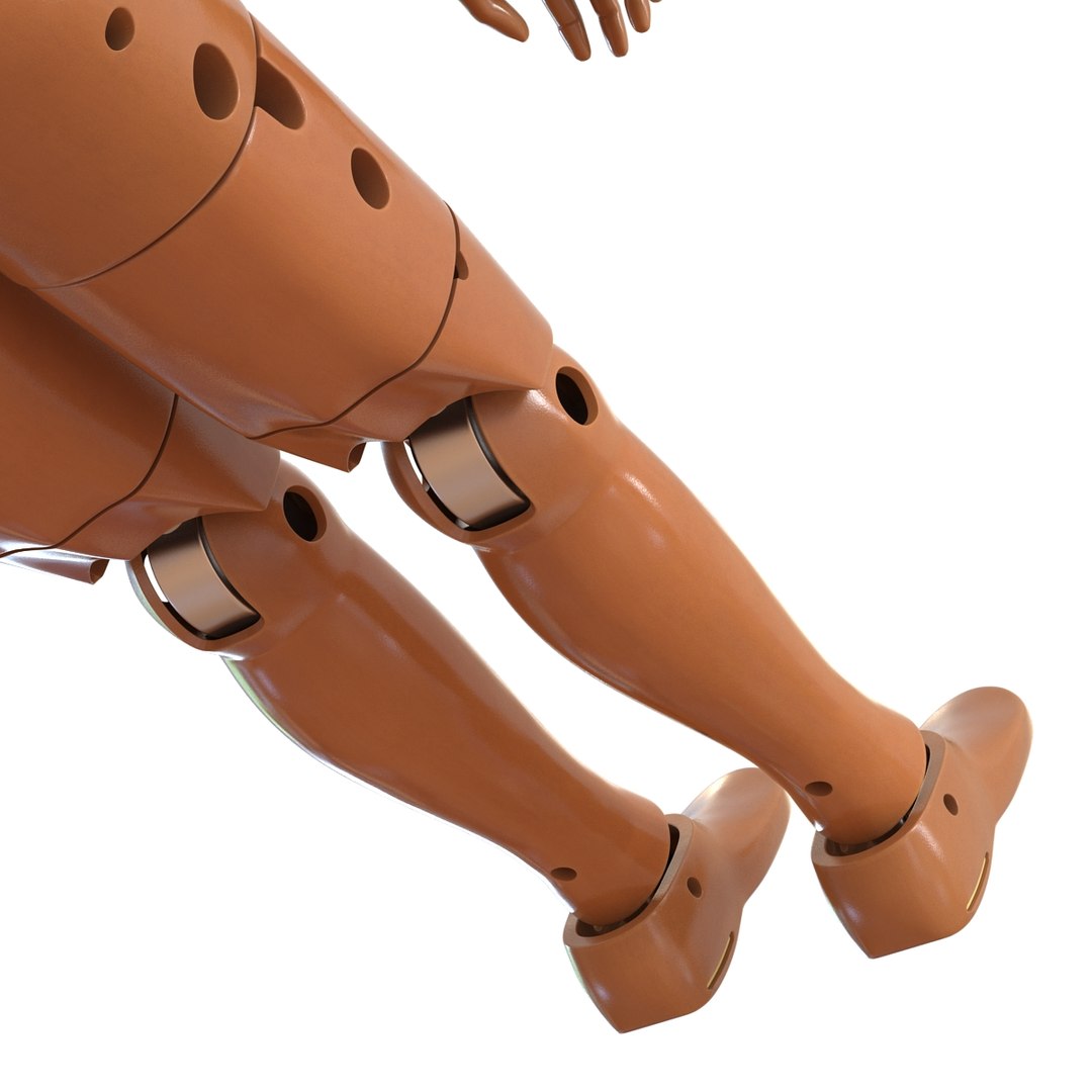 max female crash test dummy
