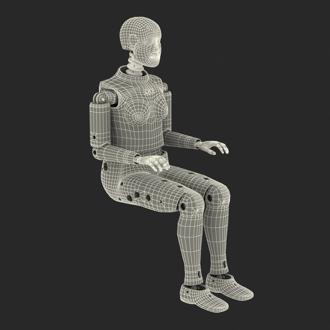 max female crash test dummy