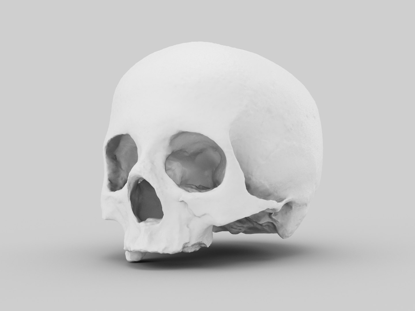 3D model Real Human Weathered Skull 3D Scan - TurboSquid 2171555