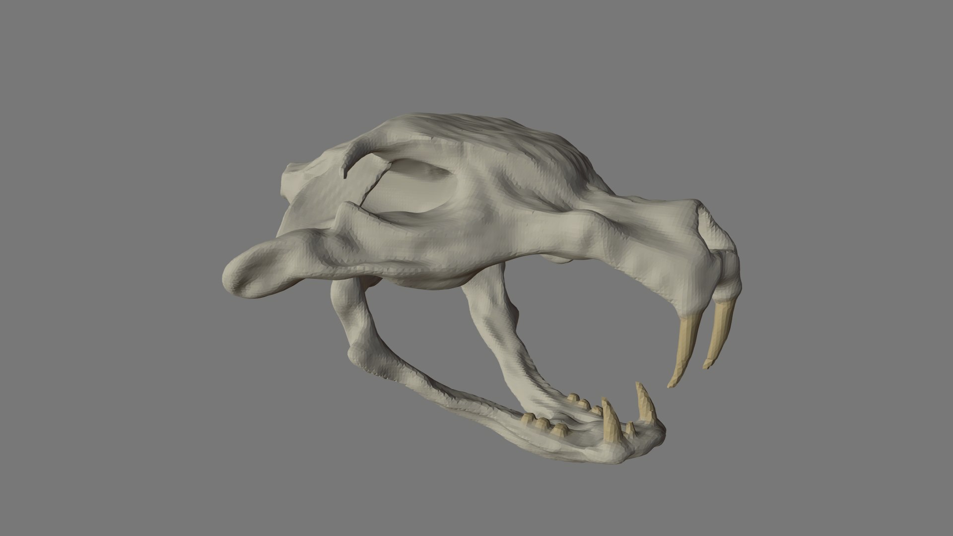 Animal Skull 3D Model - TurboSquid 1772572