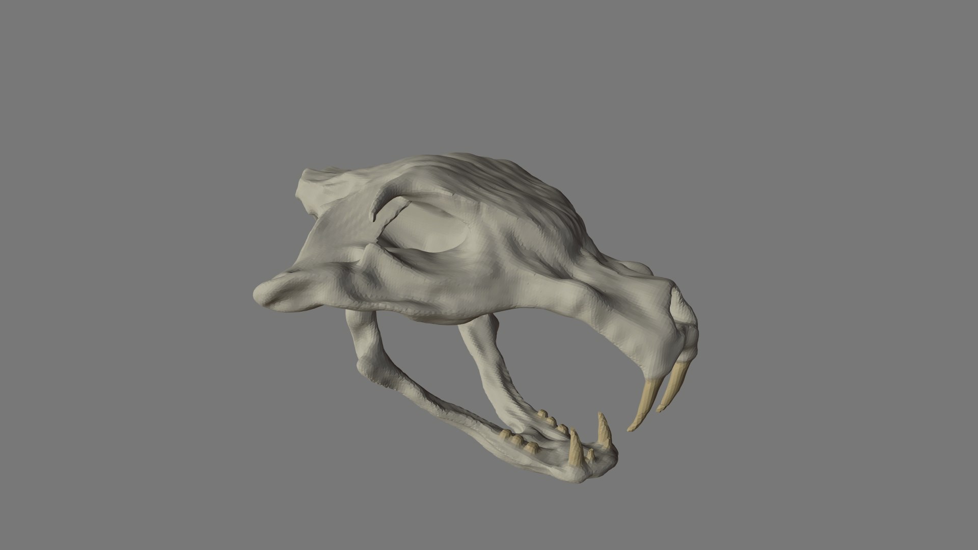 Animal Skull 3D Model - TurboSquid 1772572