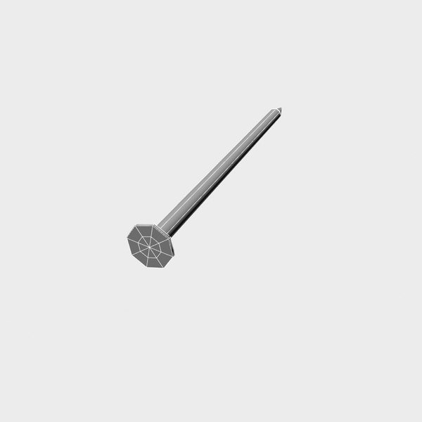 common nail 3d model