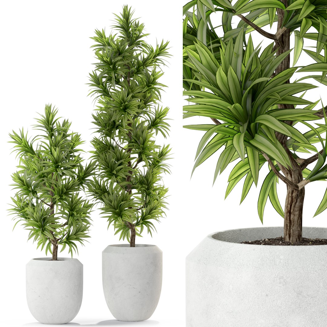 3D Model Plants 302 - TurboSquid 1655412