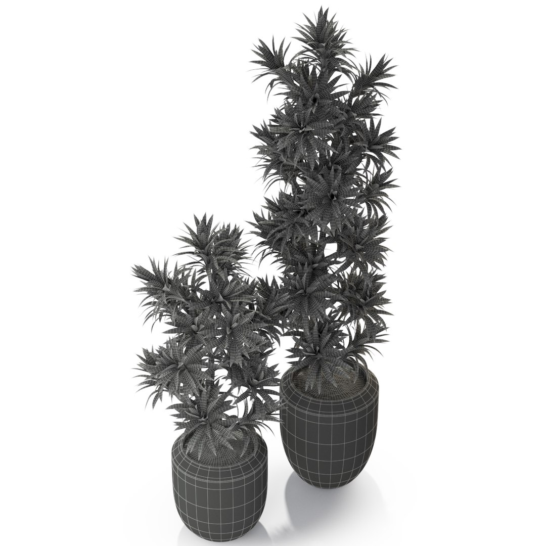 3D Model Plants 302 - TurboSquid 1655412