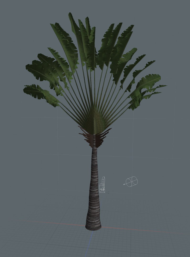 Travelers Palm Tree 3D Model - TurboSquid 2130813