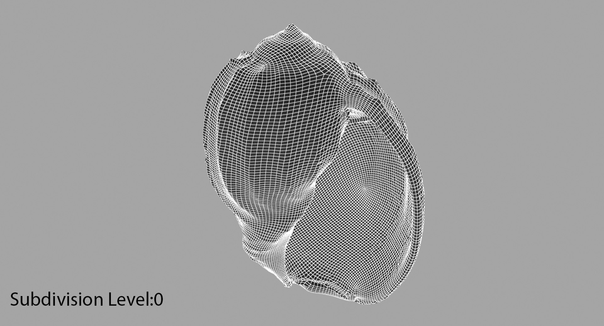 3D Model Seashell Sea Shell - TurboSquid 1274140