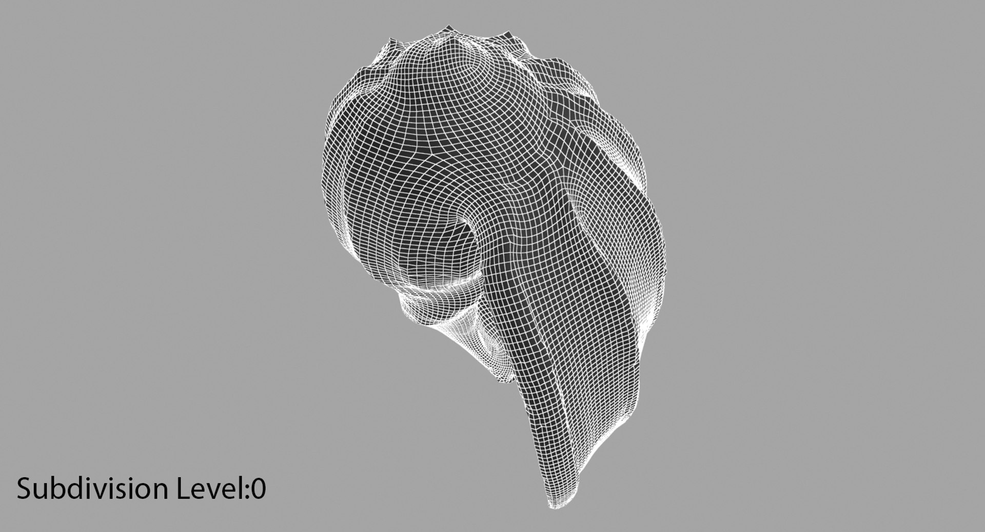 3D Model Seashell Sea Shell - TurboSquid 1274140