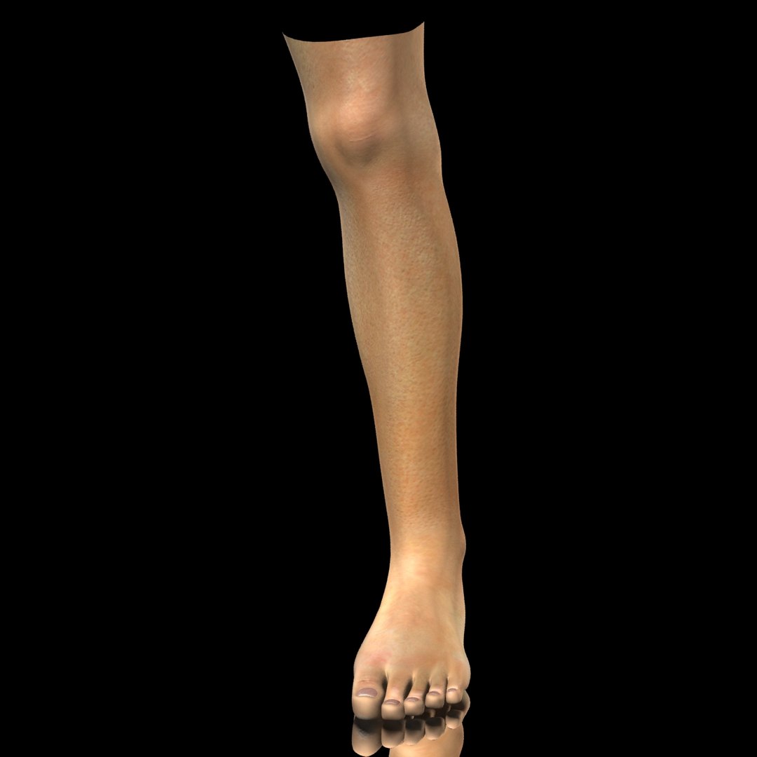 Realistic Female Leg 3d Model