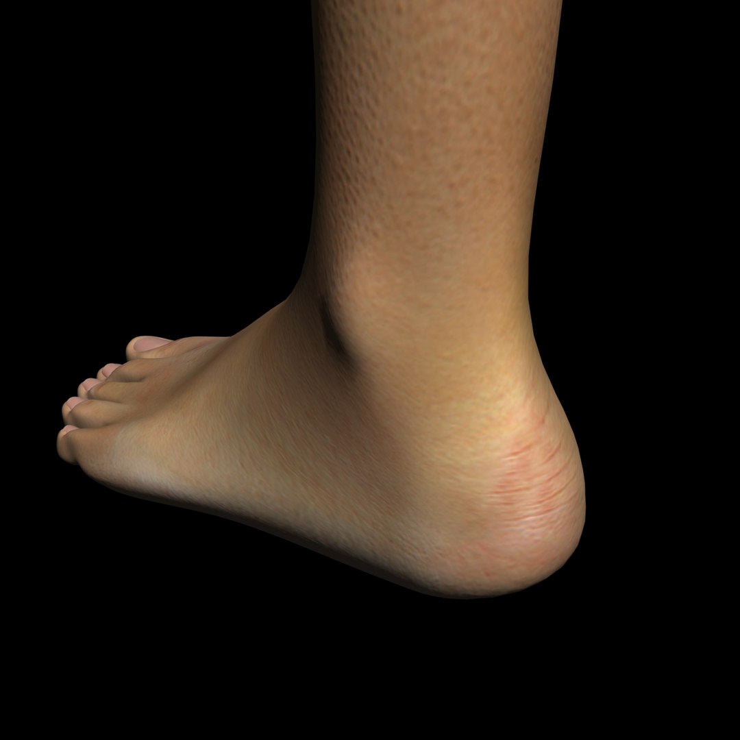 Realistic Female Leg 3d Model