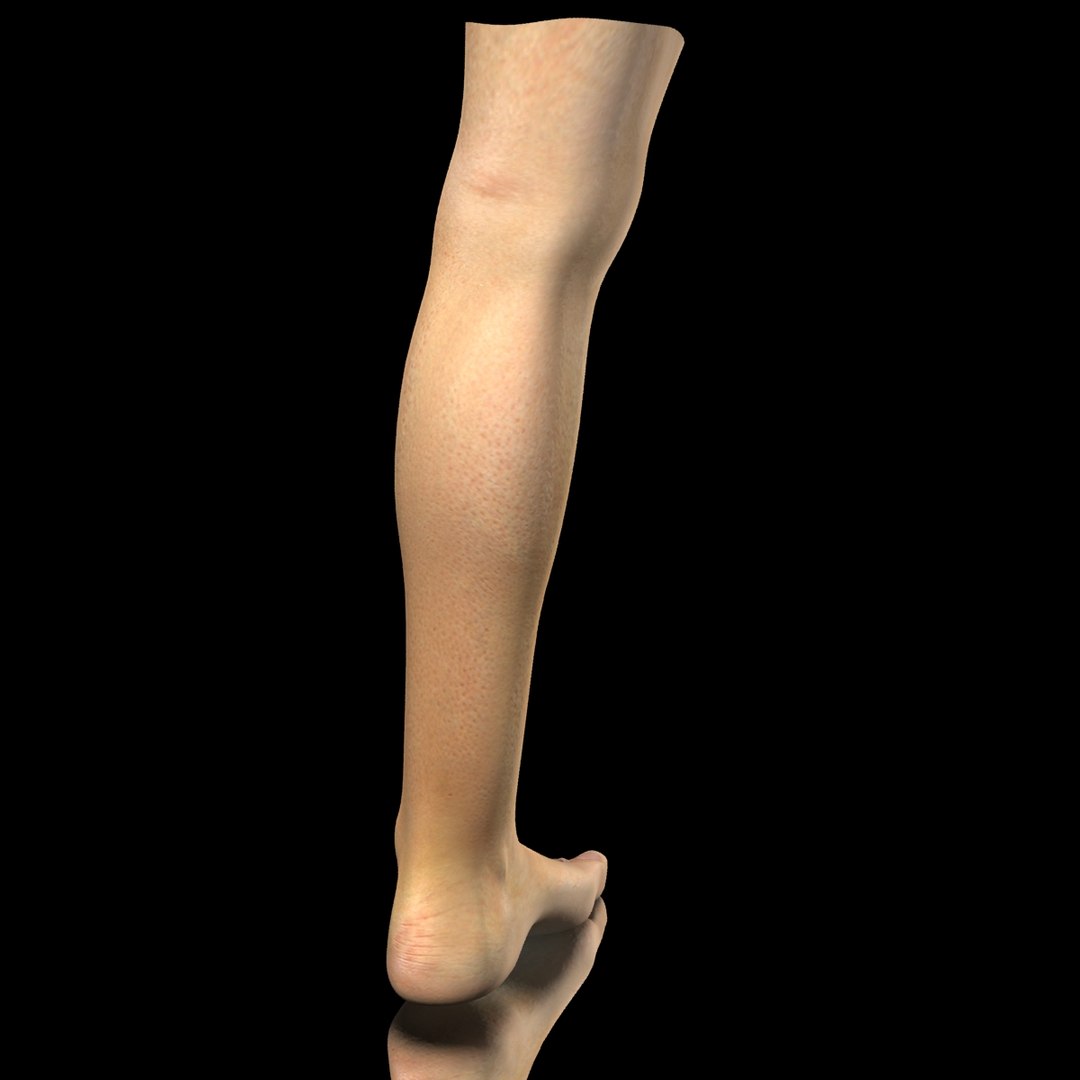 Realistic Female Leg 3d Model