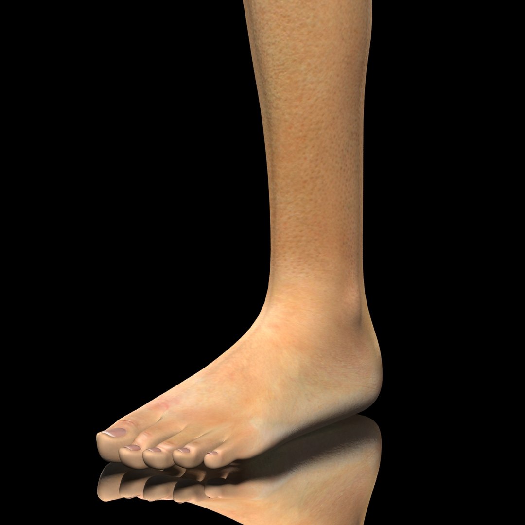 Realistic Female Leg 3d Model