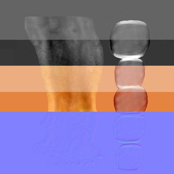 realistic female leg 3d model