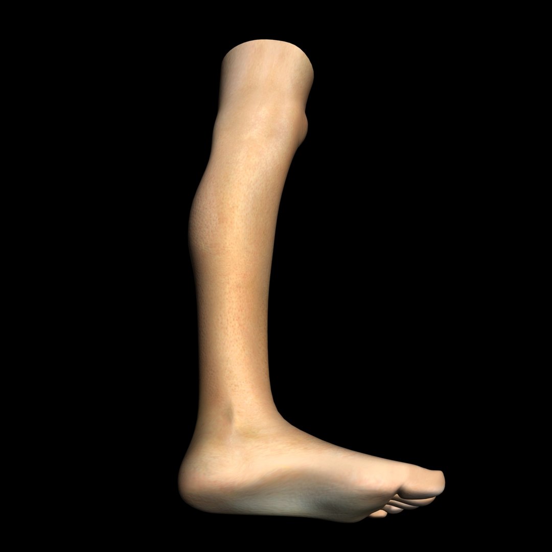 Realistic Female Leg 3d Model