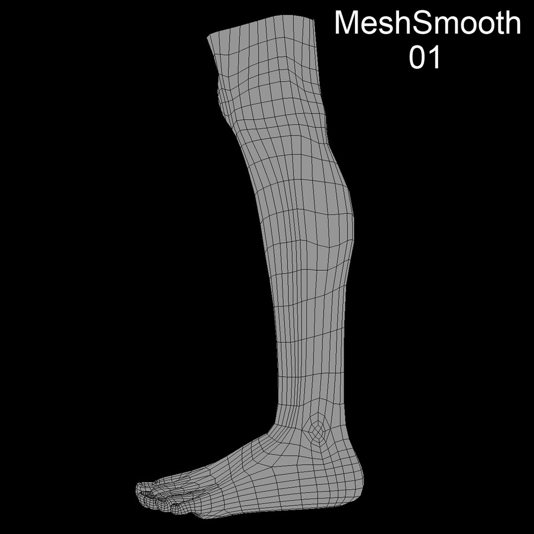 Realistic Female Leg 3d Model