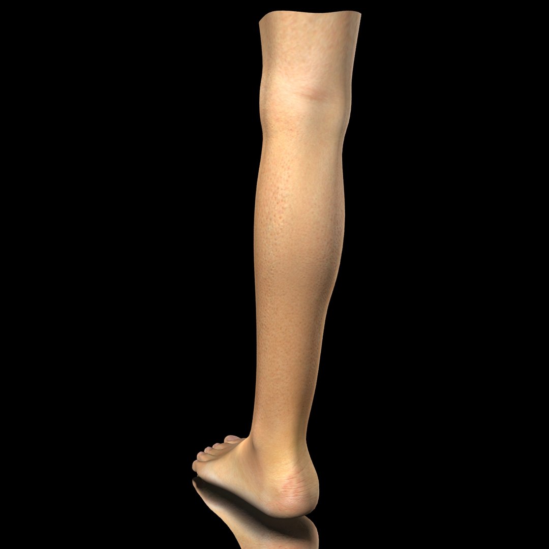 Realistic Female Leg 3d Model