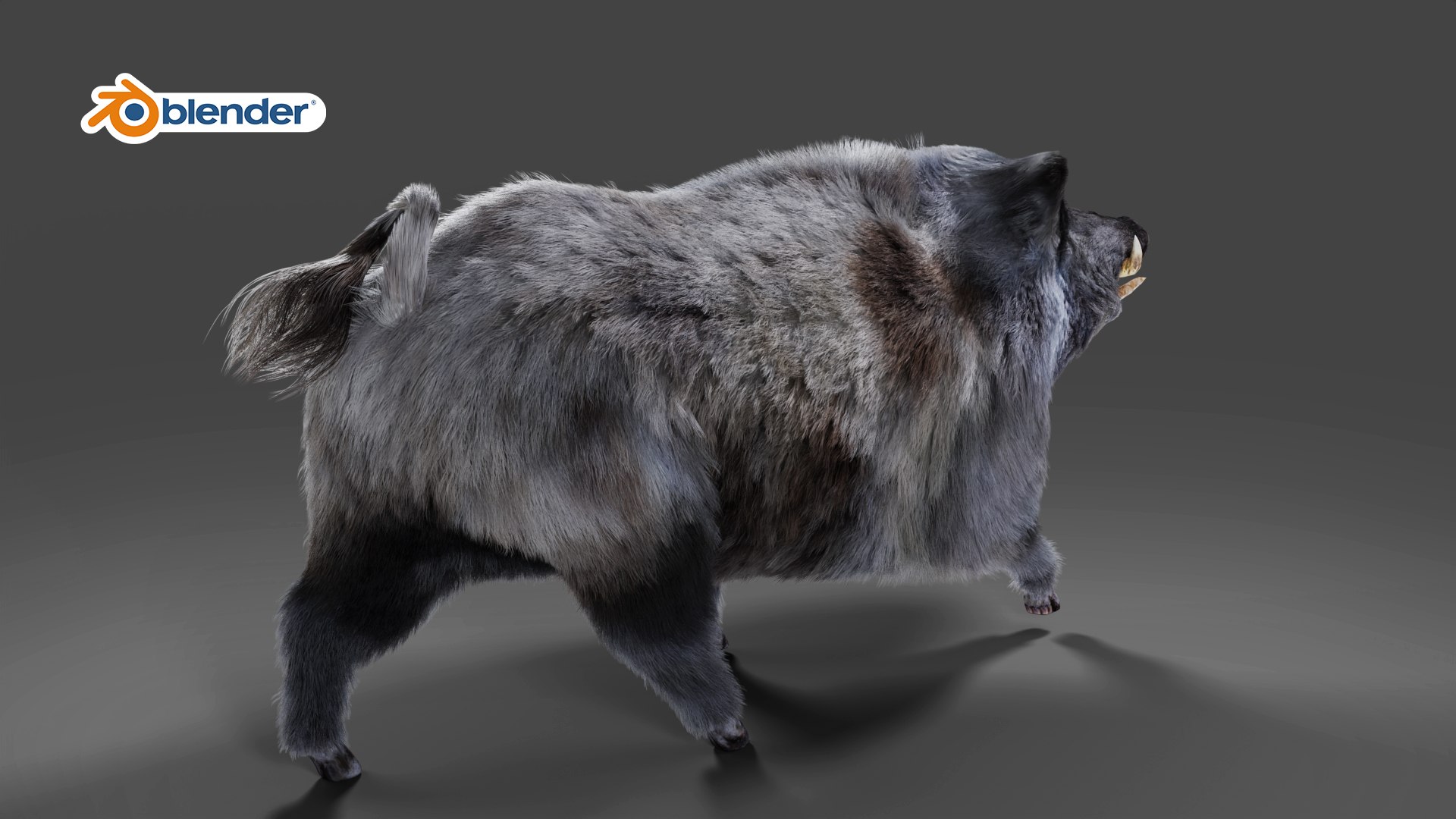 3D Model Fur Black Wild Boar V03 Rigged In Blender - TurboSquid 1991193