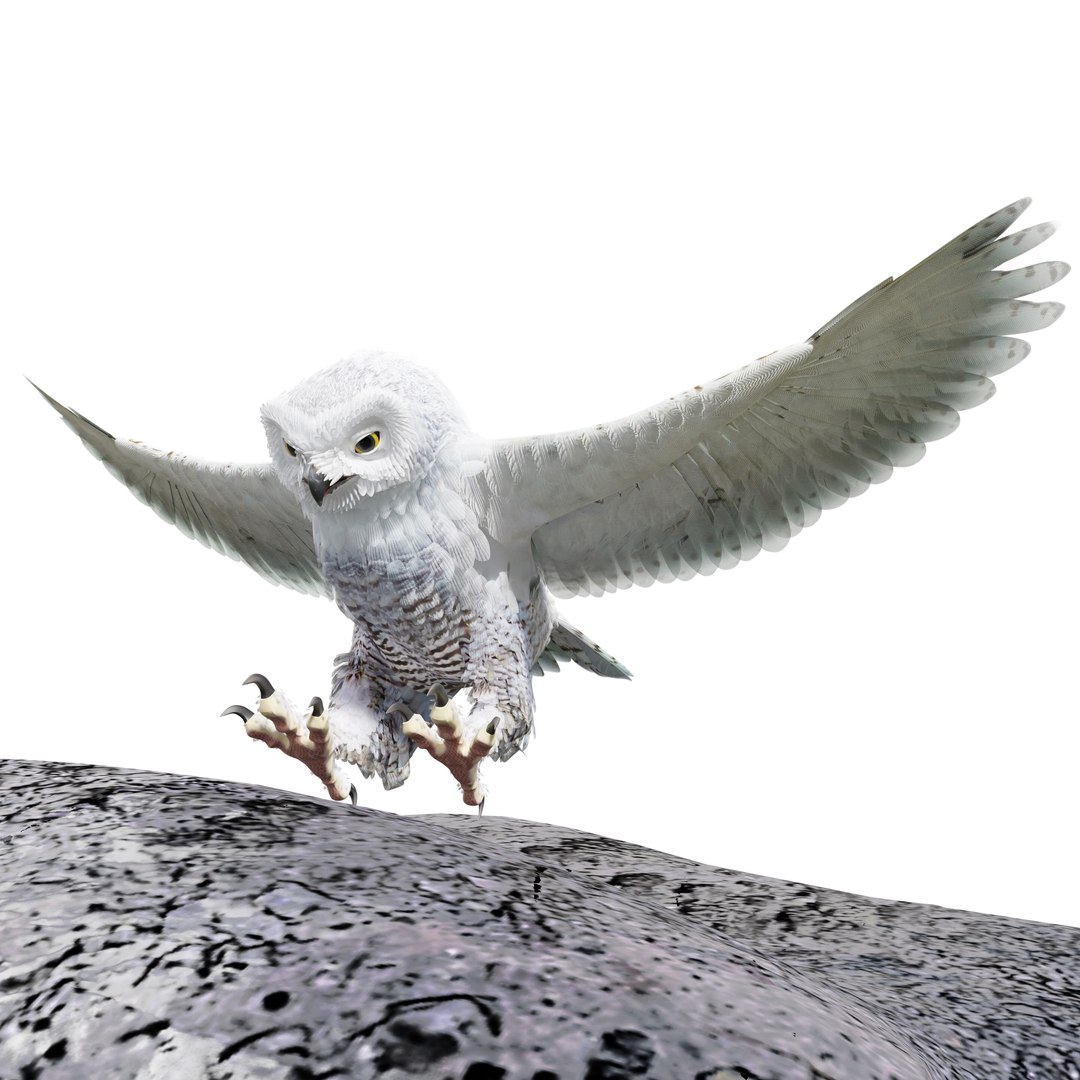Sown Owl-BLENDER 3D Model - TurboSquid 1937970