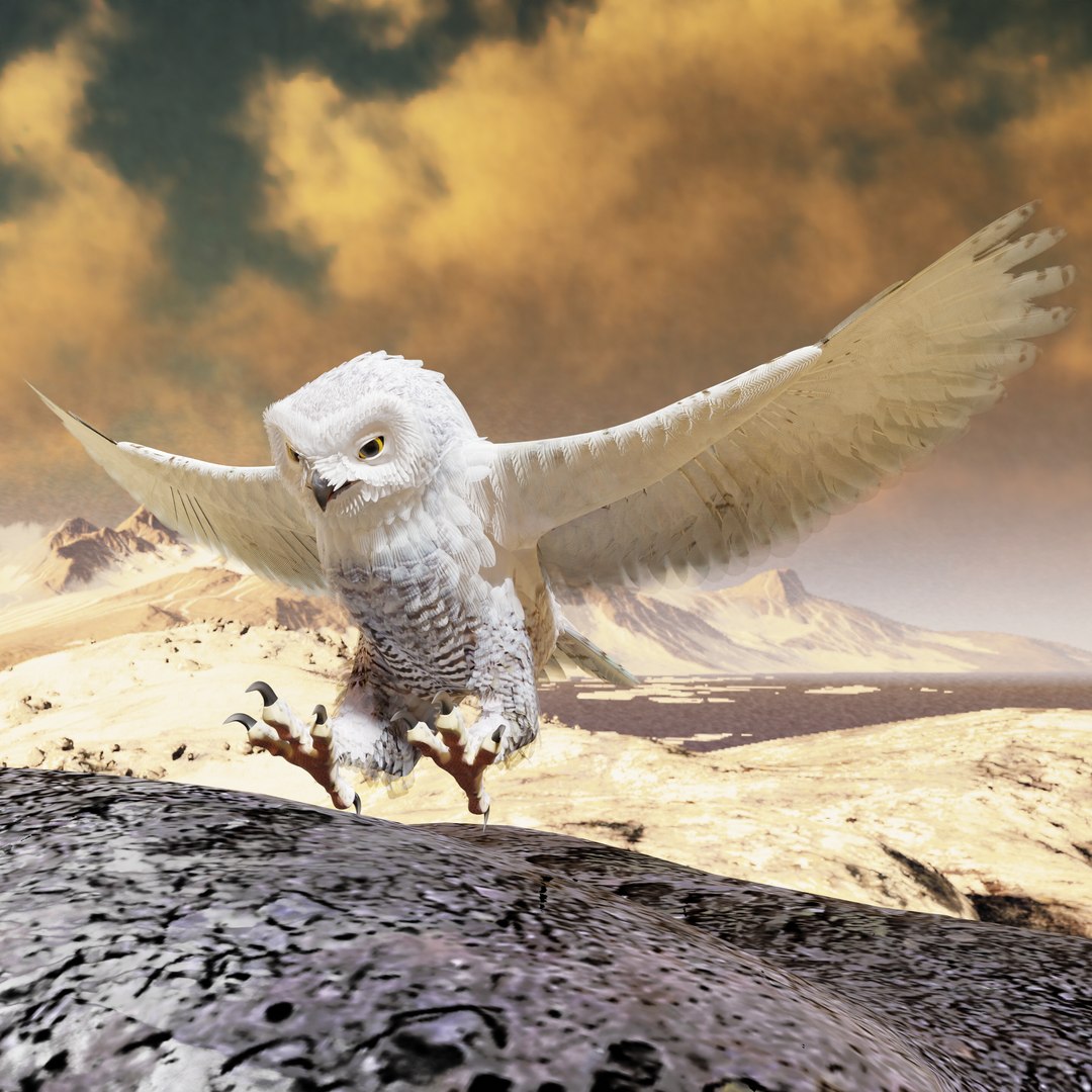 Sown Owl-BLENDER 3D Model - TurboSquid 1937970