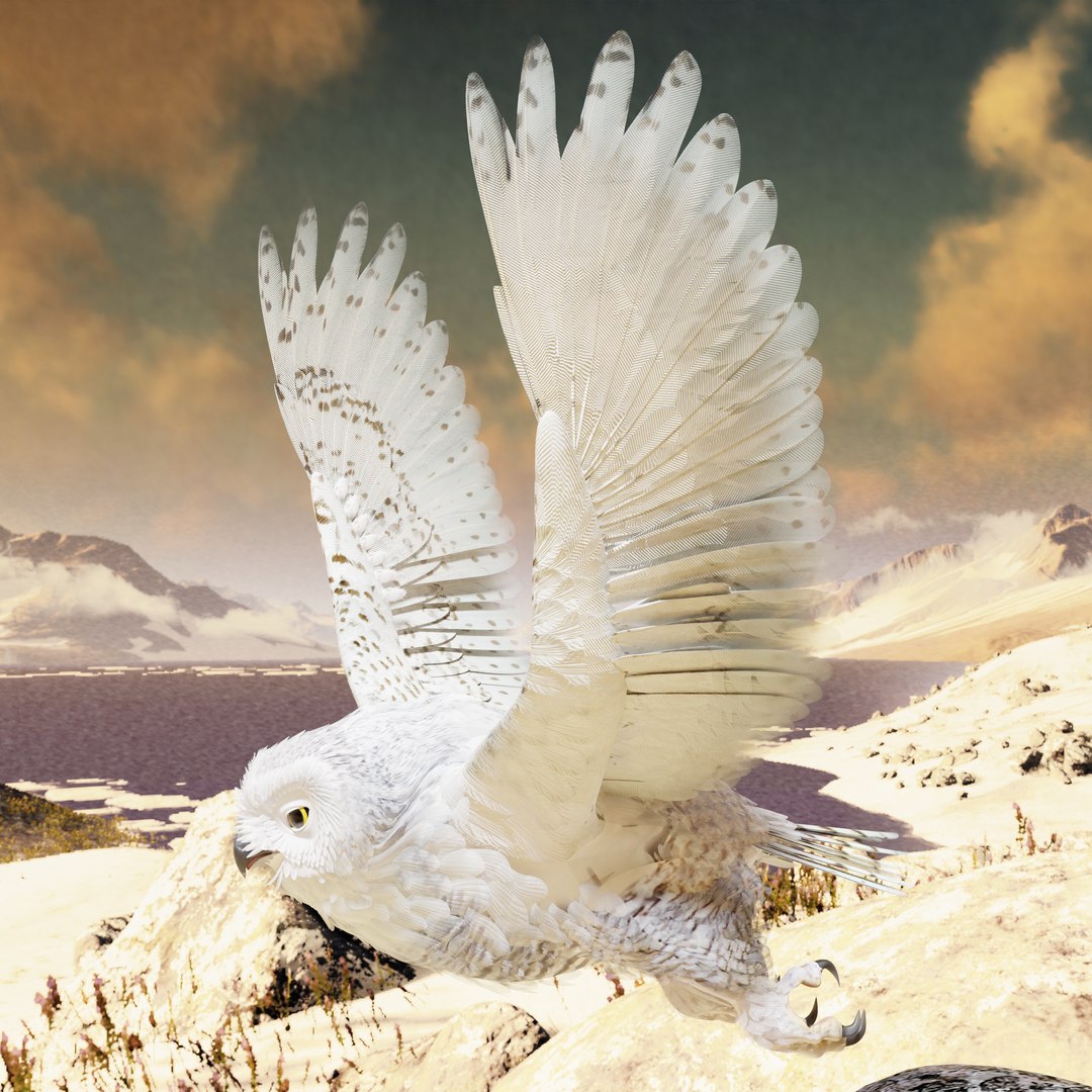 Sown Owl-BLENDER 3D Model - TurboSquid 1937970