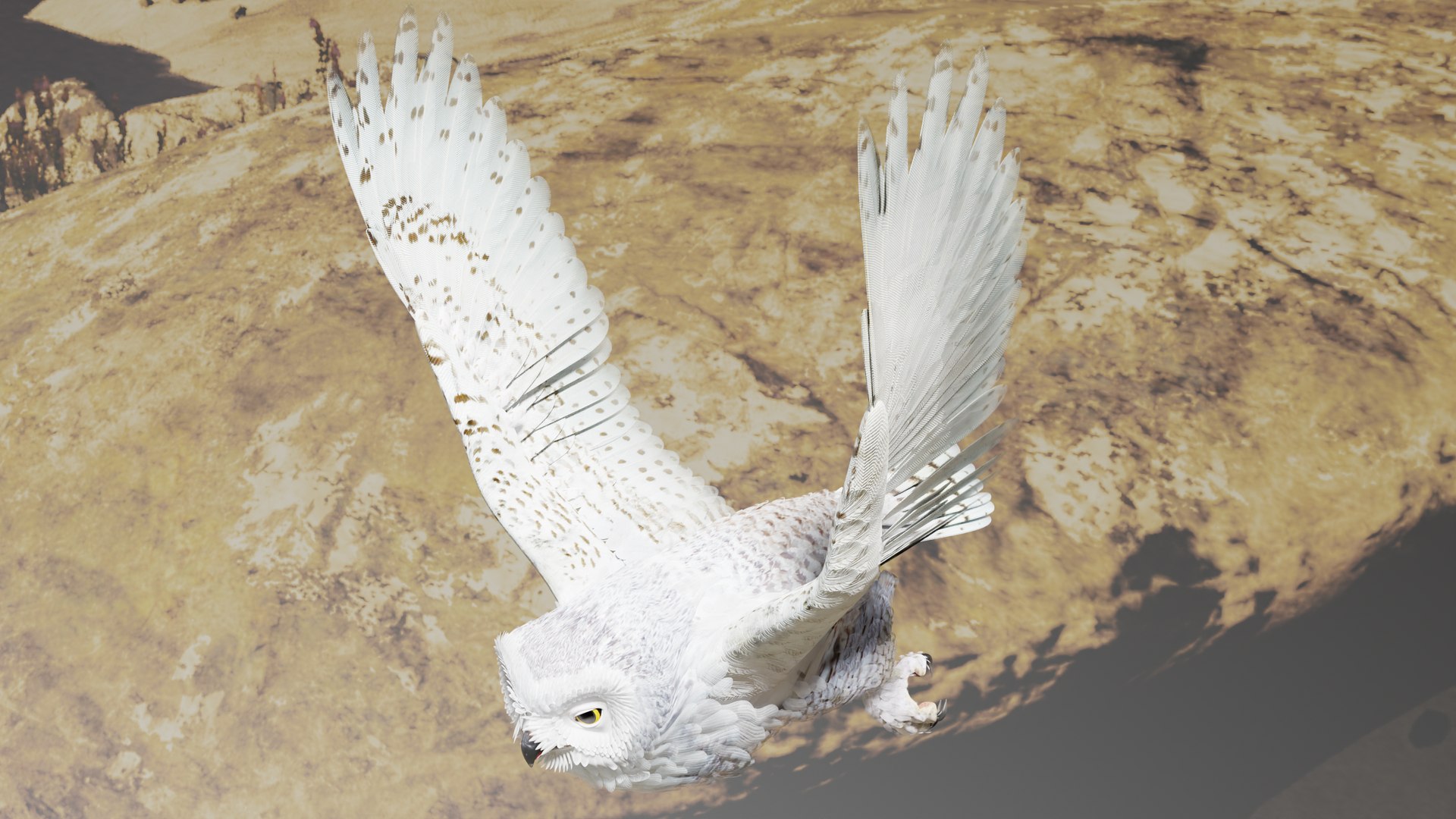 Sown Owl-BLENDER 3D Model - TurboSquid 1937970