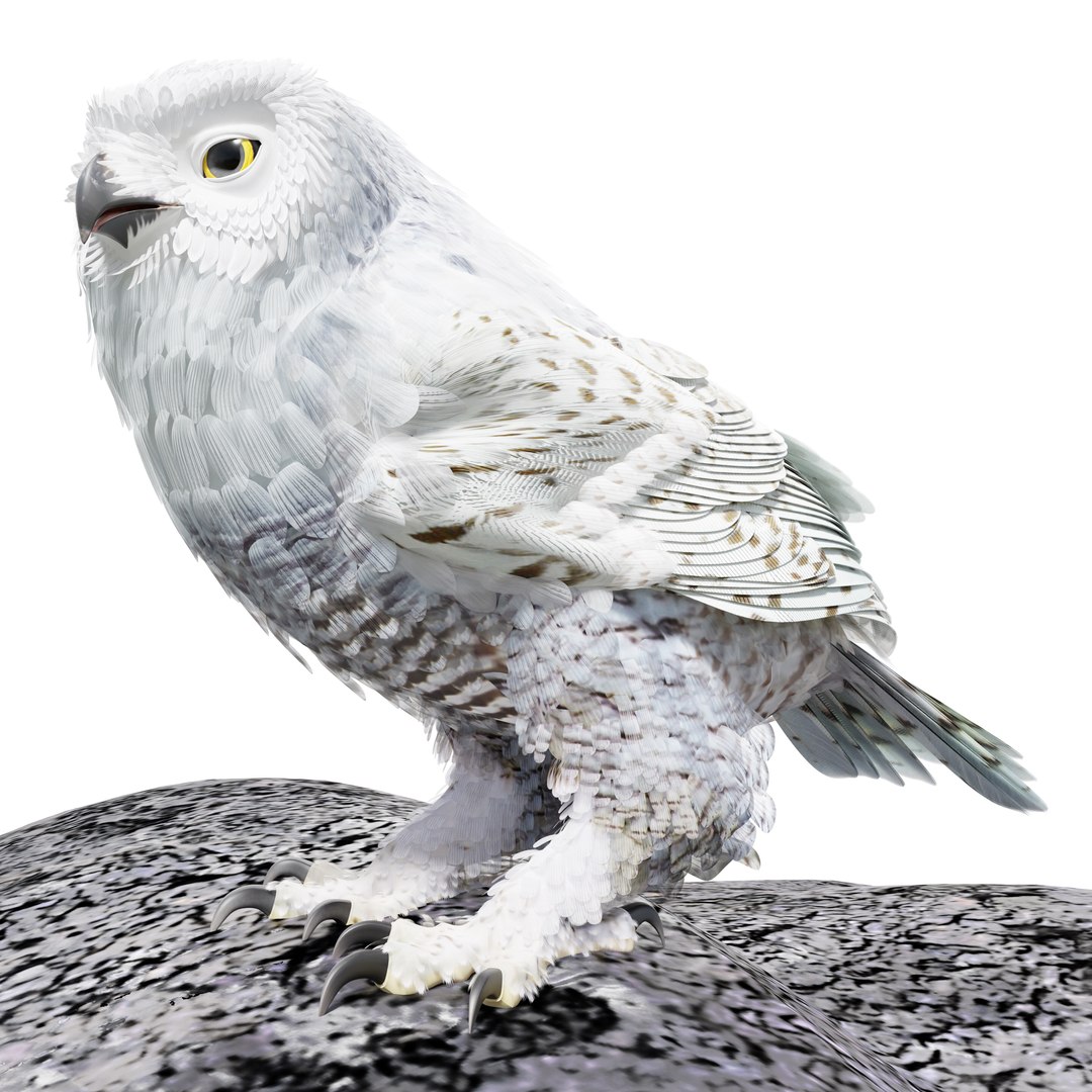 Sown Owl-BLENDER 3D Model - TurboSquid 1937970